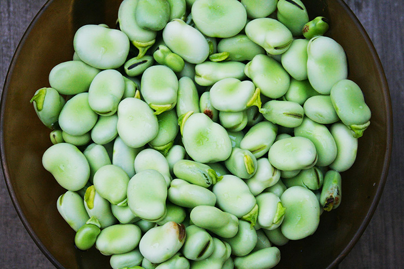 Les fèves : conseils de préparation